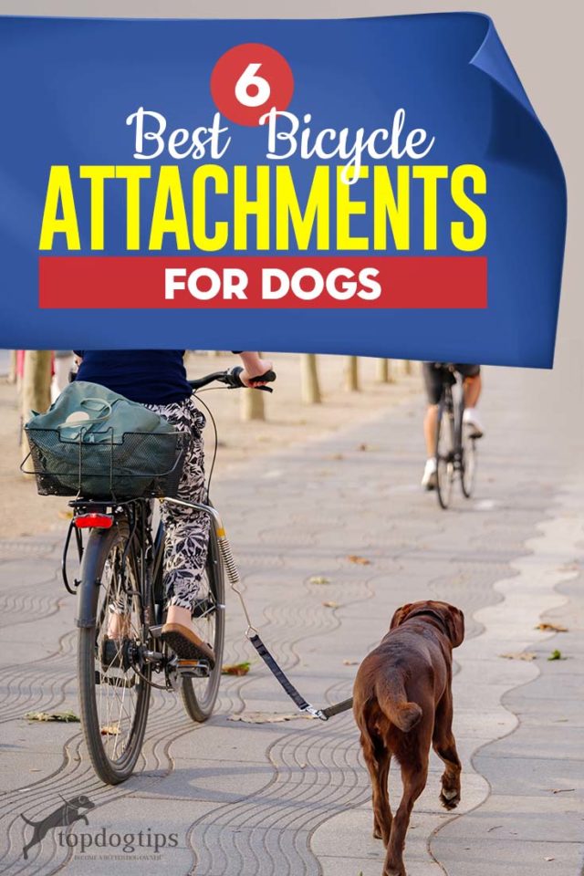 Top 6 Best Dog Bike Attachment Brands for Safe Riding with Dogs in 2020
