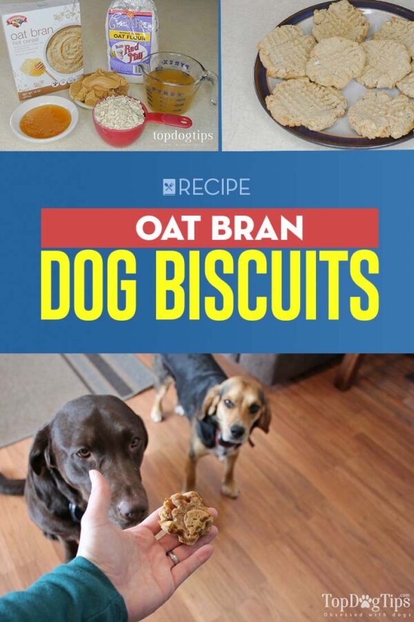 Homemade Oat Bran Dog Biscuits Recipe (High Fiber)