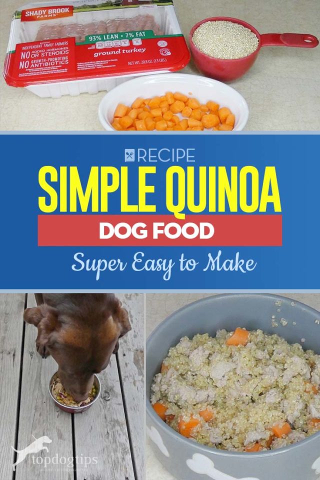 Recipe: Simple Quinoa Dog Food – Top Dog Tips