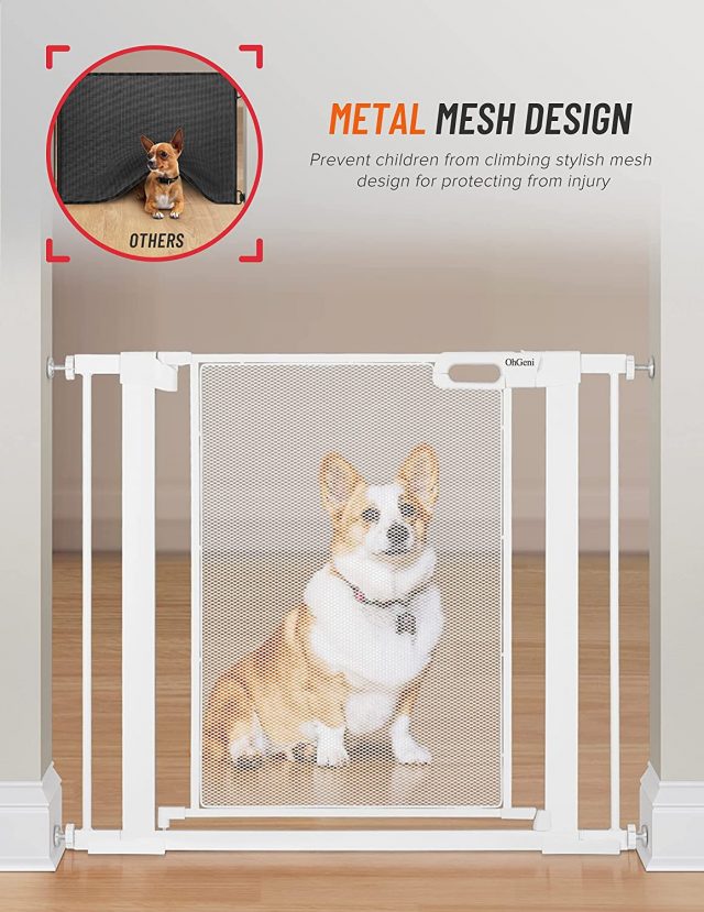 10 Best Dog Gates for Stairs for Small, Medium and Large Dogs in 2020