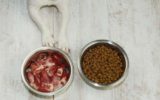 7 Vitamins for Dogs That All Dog Owners Need to Know About