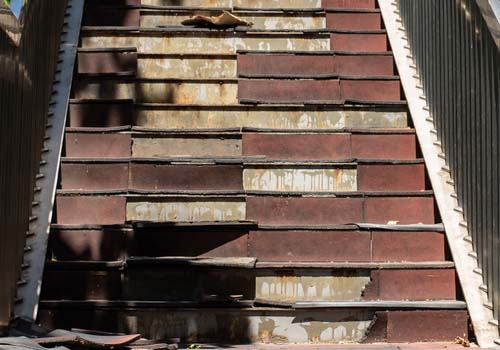 Dog Falling Down the Stairs? Here's Why and What You Can Do About It