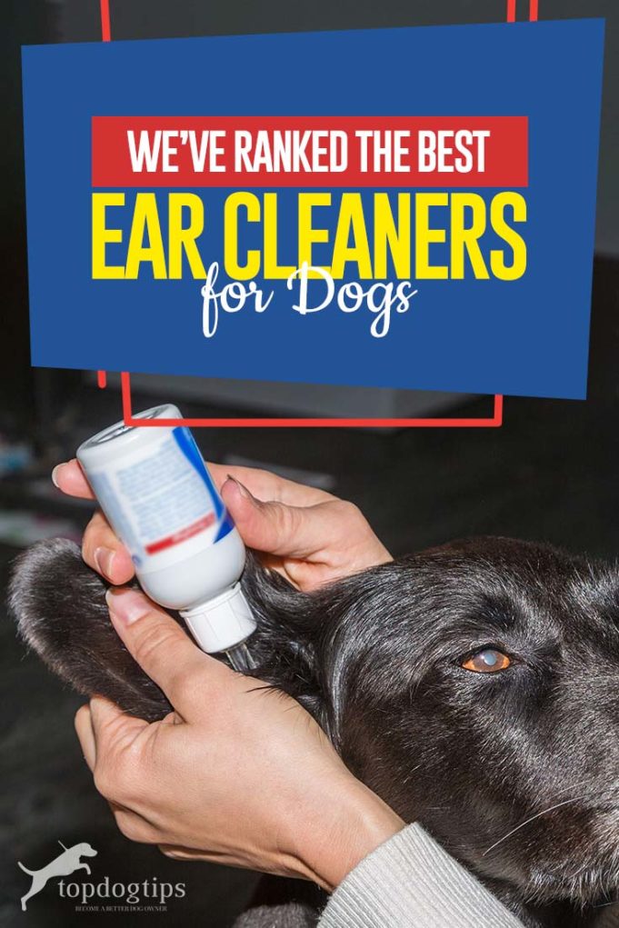 The Best Ear Cleaner for Dogs in 2020