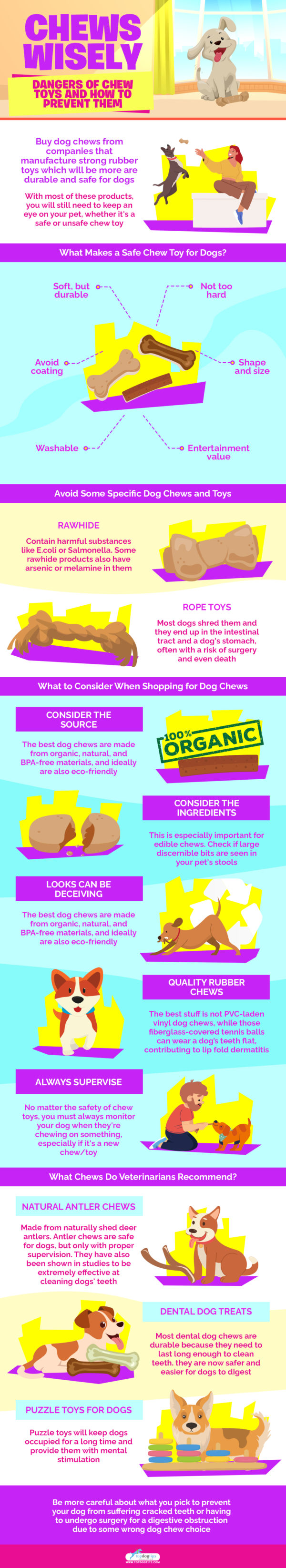 Chews Wisely: Dangers of Chew Toys for Dogs and How to Prevent Them