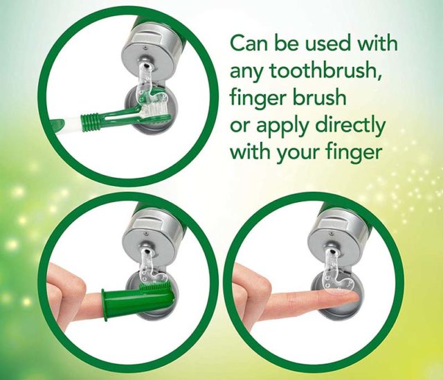 Dental Gels for Dogs: The Best Substitute to Your Dog's Teeth Brushing