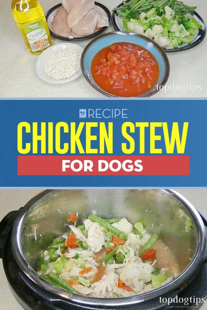 Homemade Chicken Stew for Dogs Recipe