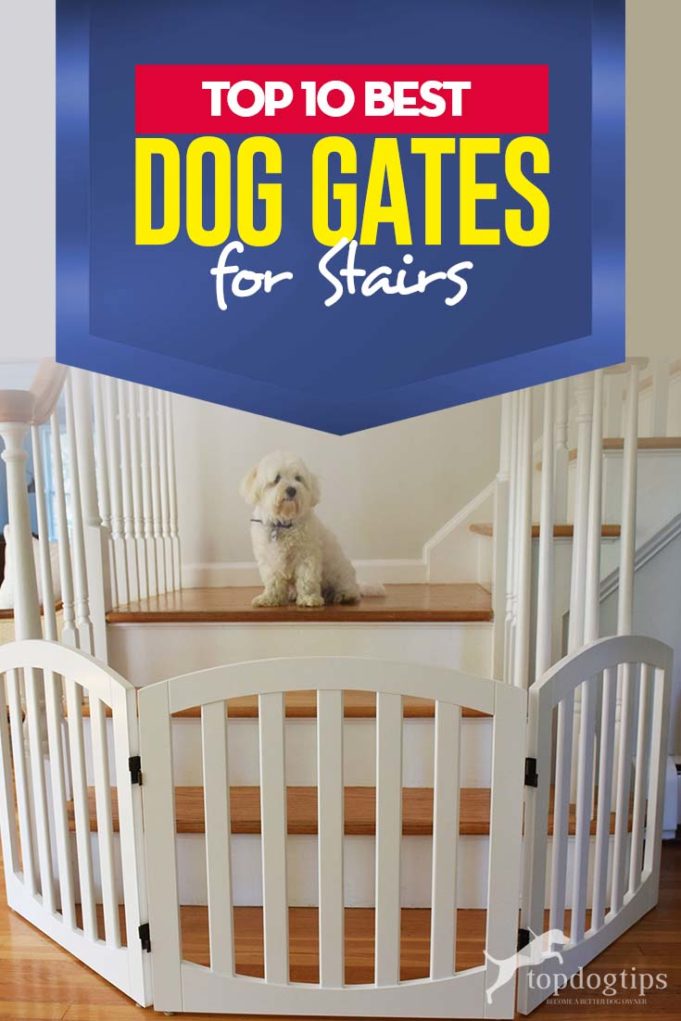10 Best Dog Gates for Stairs for Small, Medium and Large Dogs in 2020