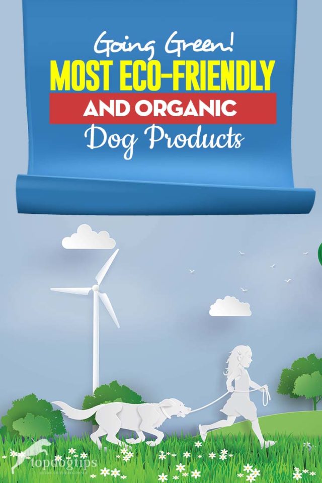 Most Eco-friendly, Organic Dog Supplies and Products You Can Buy Today