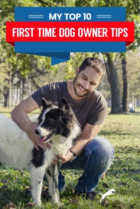 10 First-Time Dog Owner Tips From My 20 Years of Experience