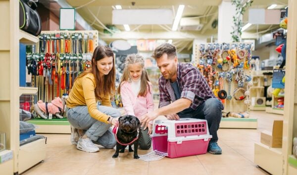 15 Must-Know Tips For New Dog Owners - Make Sure You Start Right!