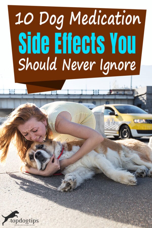 10 Dog Medication Side Effects You Should Never Ignore