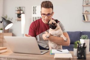 Walk Dogs for Money: How Much You Can Earn and How to Start