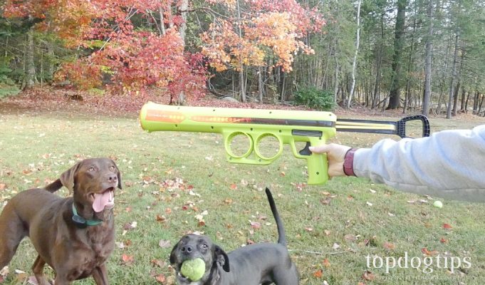 Review: Hyper Pet K9 Kannon Tennis Ball Launcher – Top Dog Tips