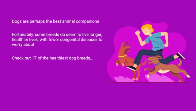 17 of the Healthiest Dog Breeds [2021]