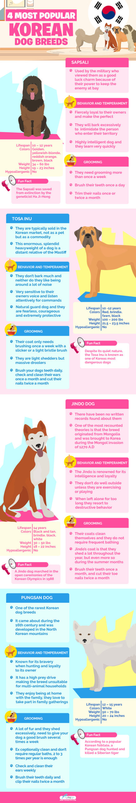 4 Most Popular Korean Dog Breeds [2021]