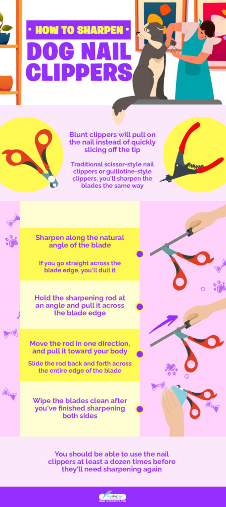 How To Sharpen Dog Nail Clippers – Top Dog Tips
