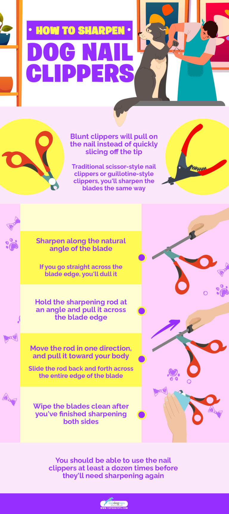 How To Sharpen Dog Nail Clippers – Top Dog Tips
