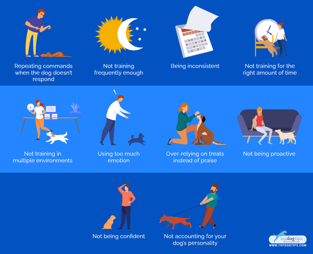 25 Hardest Tricks & Commands to Train Dogs (From Easiest to Hardest)