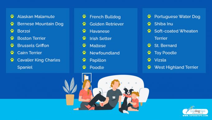 30 Breeds That Are Good House Dogs - Perfect for Families!