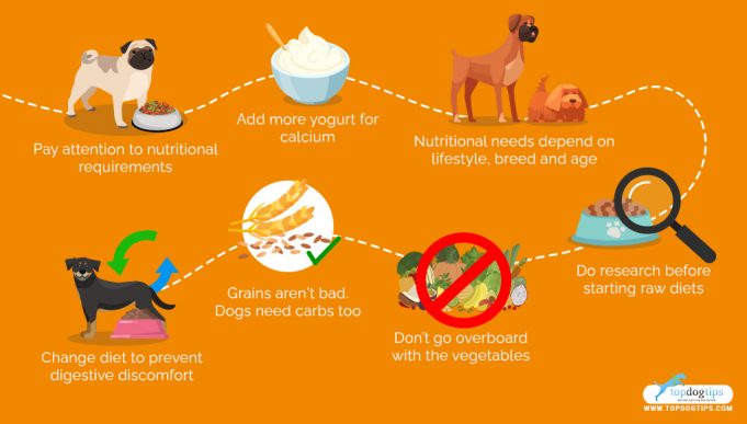 Homemade Dog Food To Feed Your Dog A Beginner s Guide