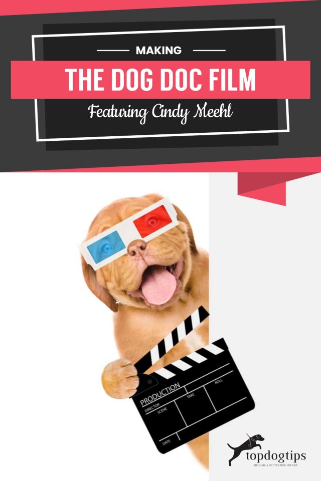 TOP #129: Making The Dog Doc Film featuring Cindy Meehl – Top Dog Tips