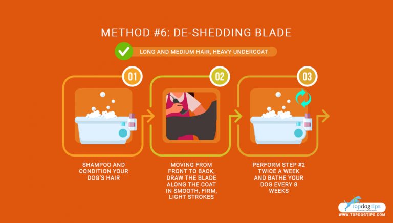 Deshedding a Dog: 7 Most Effective Methods and 7 Best Tools to Use