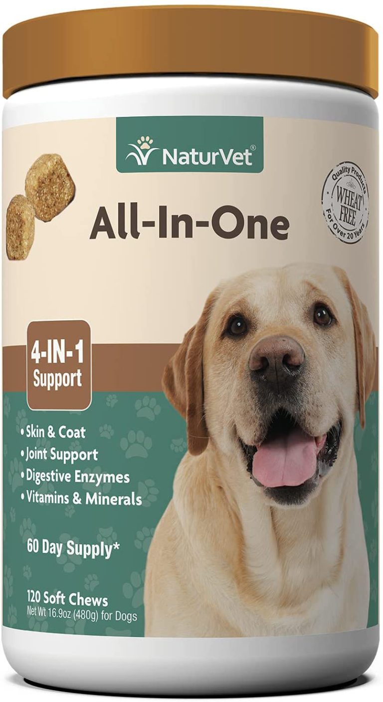 Dog Supplements for Homemade Dog Food: Here's What You Need