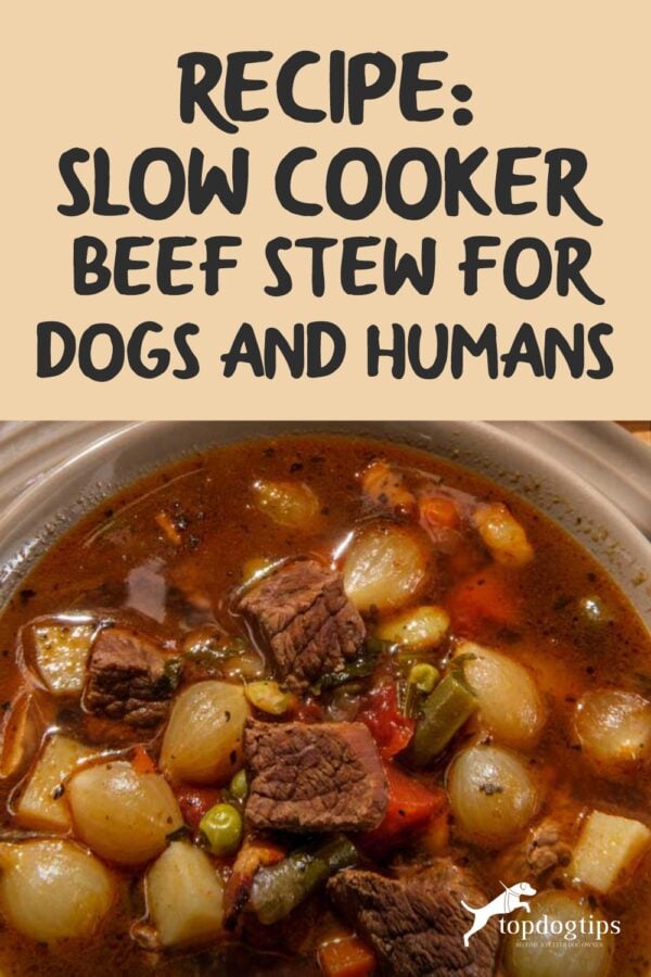 Recipe: Slow Cooker Beef Stew for Dogs and Humans – Top Dog Tips