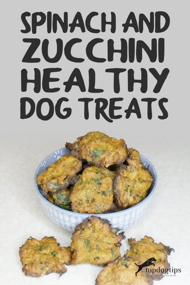 Recipe: Healthy Dog Treats with Spinach and Zucchini