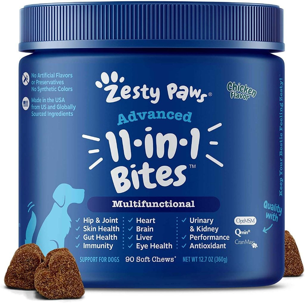 Dog Supplements for Homemade Dog Food: Here's What You Need