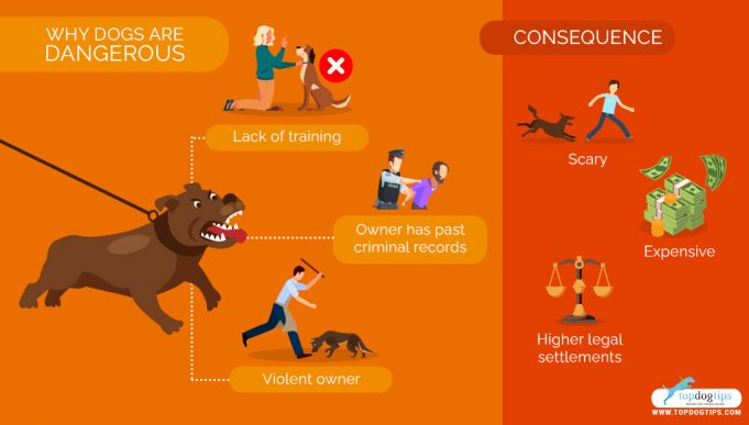 10 Surprisingly Dangerous Dog Breeds if Not Trained Properly