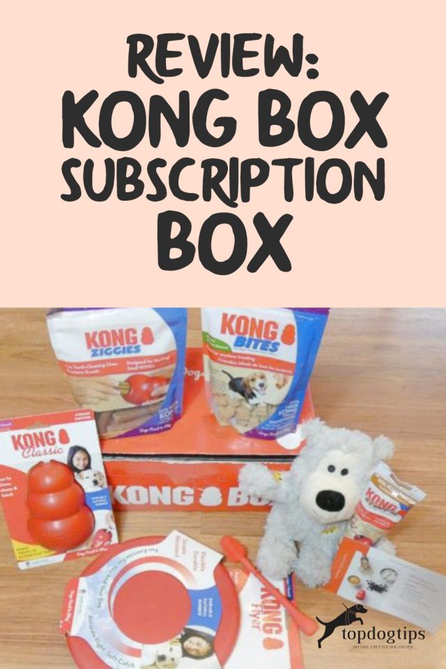 Review: KONG Box Subscription Box – Top Dog Tips