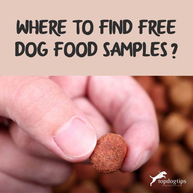 Where to Find FREE Dog Food Samples? – Top Dog Tips