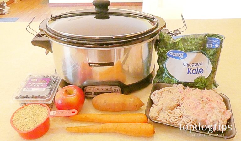 Recipe: Nutritious Pork Dinner for Dogs – Top Dog Tips