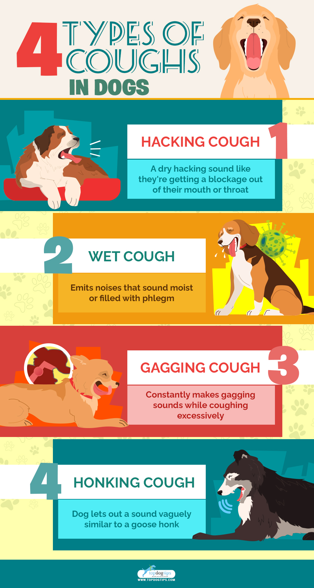 What Does It Mean When A Dog Gags