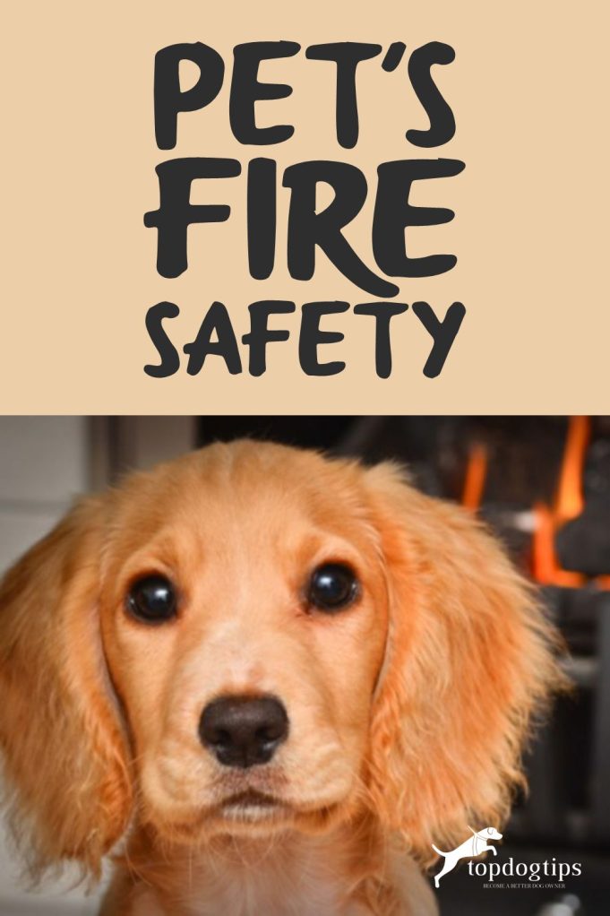 Pet's Fire Safety : 23 Tips to Remember During the Fire Season