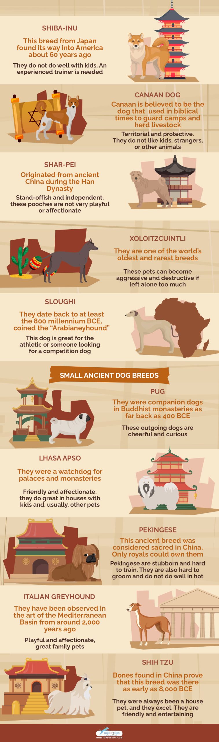 20 Most Ancient Dog Breeds That Still Roam the Planet Today