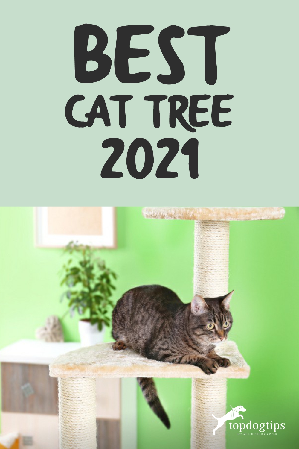 Best Cat Tree: Buying Guide and Top Picks For Felines
