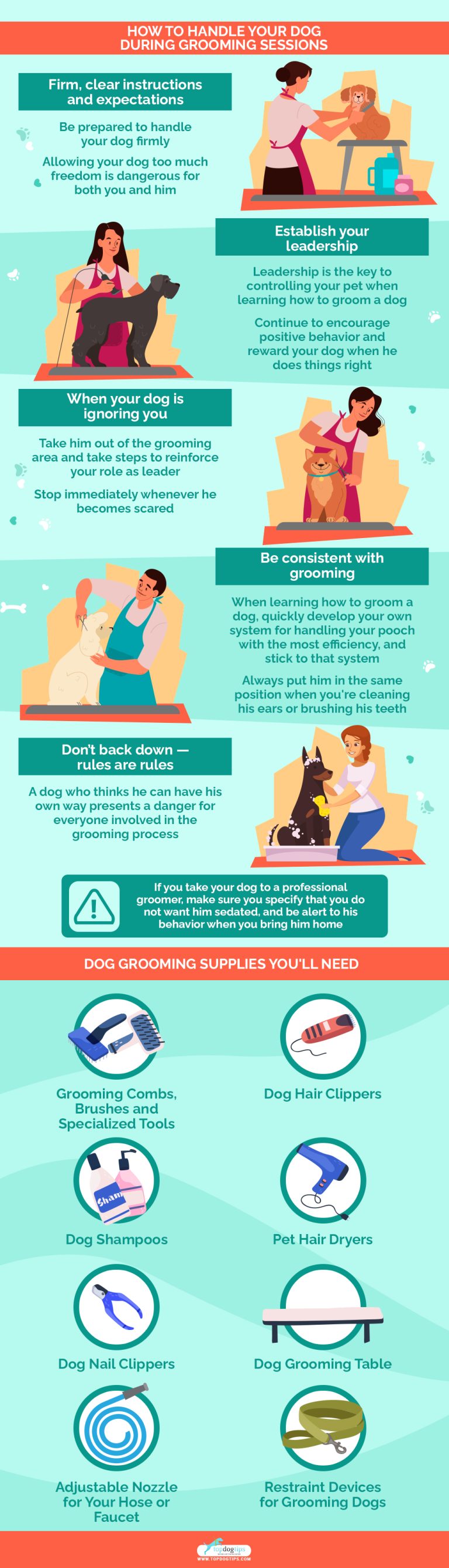 How to Groom a Dog: The Largest FREE Course for Beginners