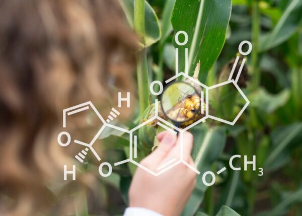 Aflatoxin Poisoning Linked To Midwestern Pet Foods, Inc. says FDA
