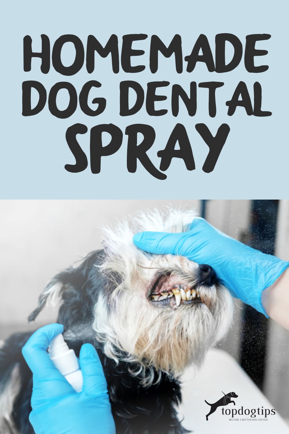 How to Make a Homemade Dog Dental Spray - A DIY Guide