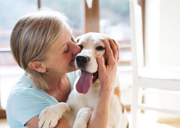 Senior Dog Home Preparation: Tips and Tricks For Comfort