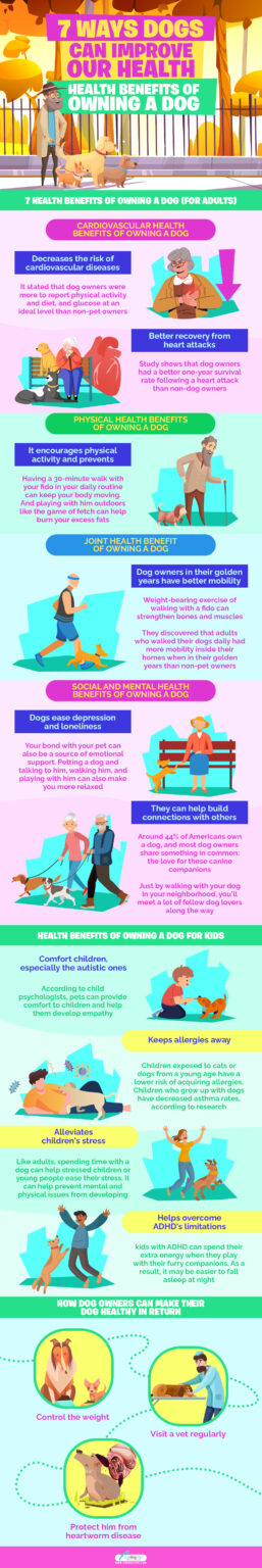 7 Health Benefits of Owning a Dog – Top Dog Tips