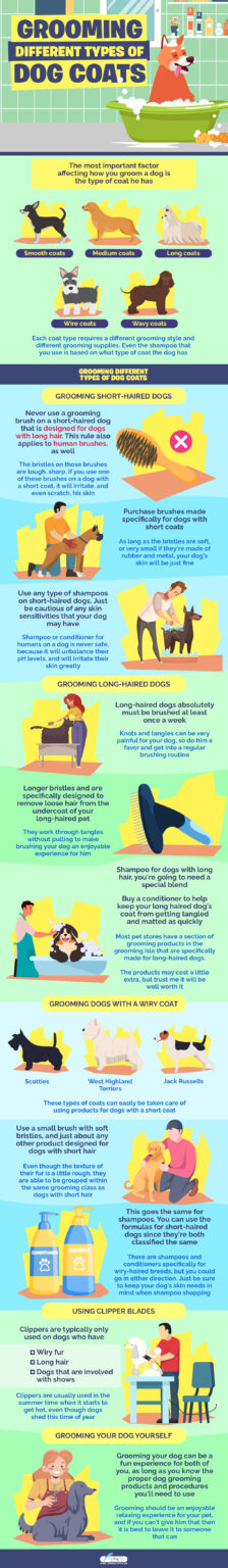 Grooming Different Types of Dog Coats – Top Dog Tips