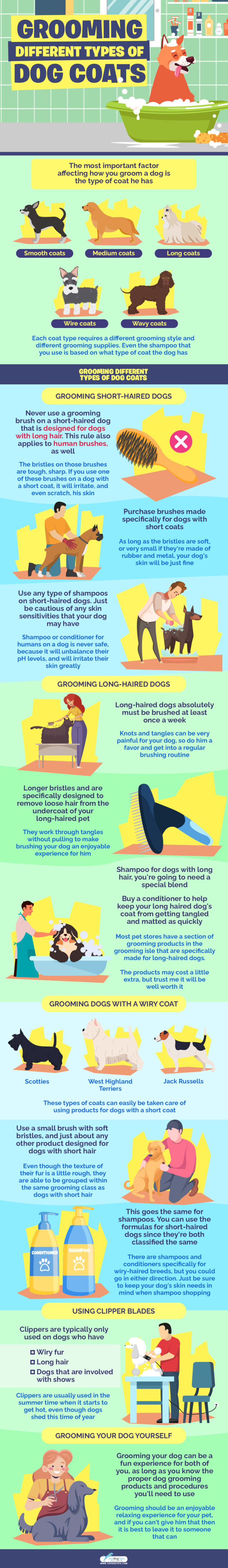Grooming Different Types of Dog Coats – Top Dog Tips