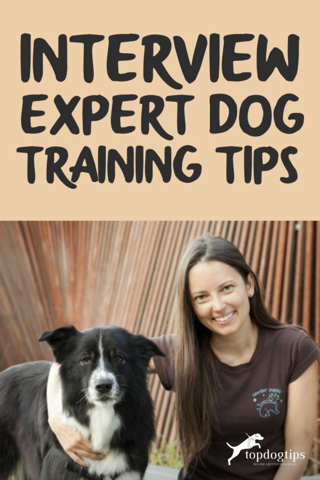 Interview: Expert Dog Training Tips for Train Your Dog Month – Top Dog Tips