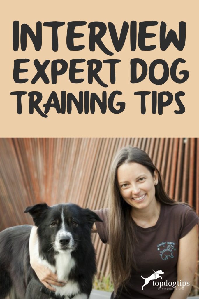 Interview: Expert Dog Training Tips for Train Your Dog Month – Top Dog Tips
