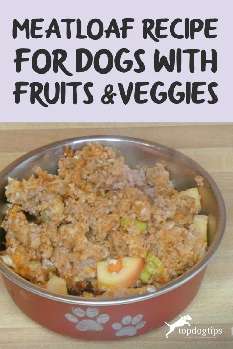 Meatloaf Recipe for Dogs with Fruits & Veggies – Top Dog Tips