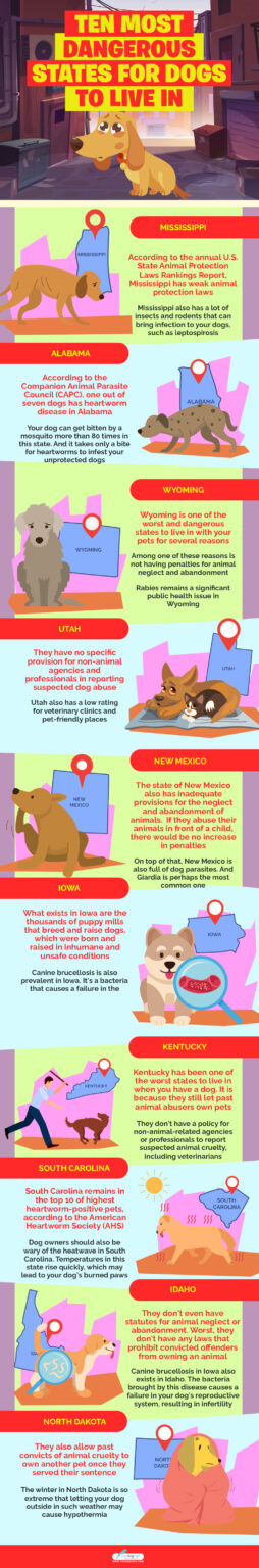Ten Most Dangerous States For Dogs To Live In: An Overview