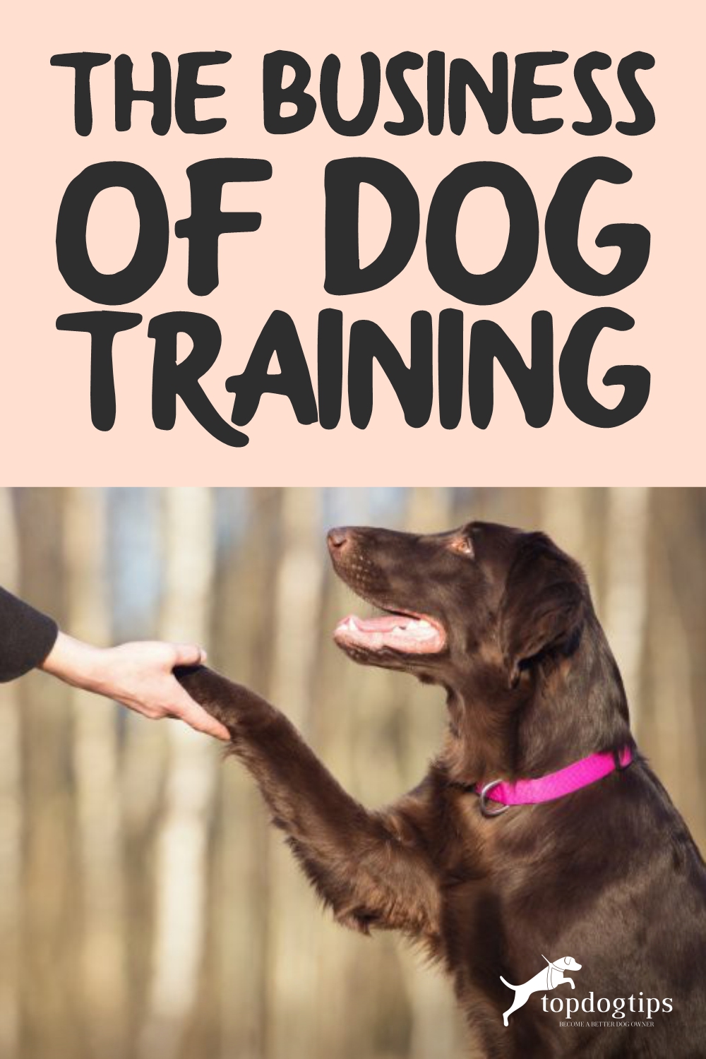 Let's Talk: The Business of Dog Training – Top Dog Tips